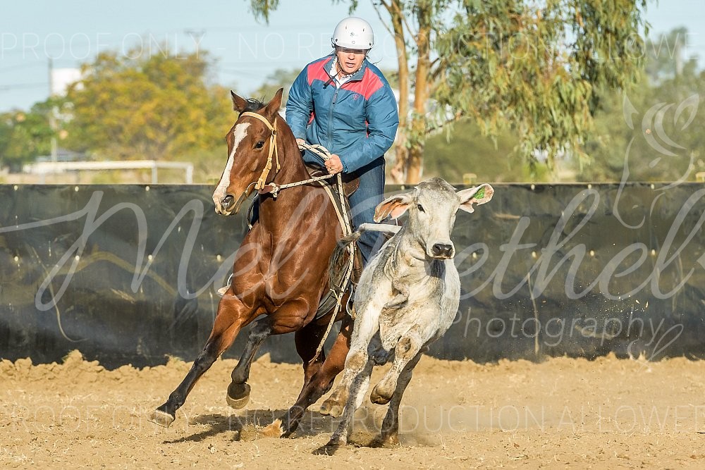 2019 Hughenden Campdraft - Event Proofs - Mel Bethel Photography ...