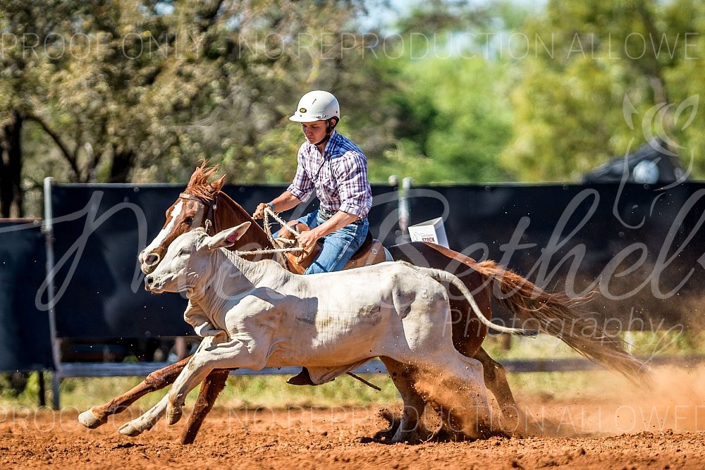 2024 DALY WATERS CAMPDRAFT - Event Proofs - Mel Bethel Photography ...