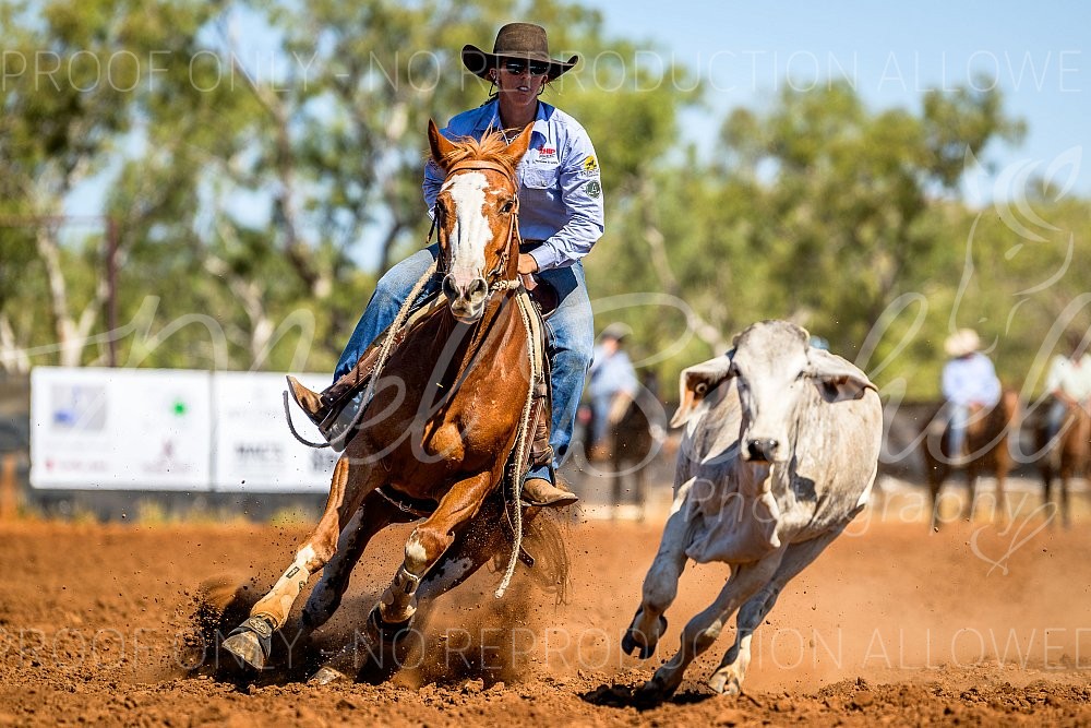2024 Timber Creek Campdraft - Event Proofs - Mel Bethel Photography ...