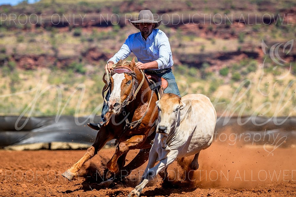 2025 Costello Yard Campdraft - Event Proofs - Mel Bethel Photography ...